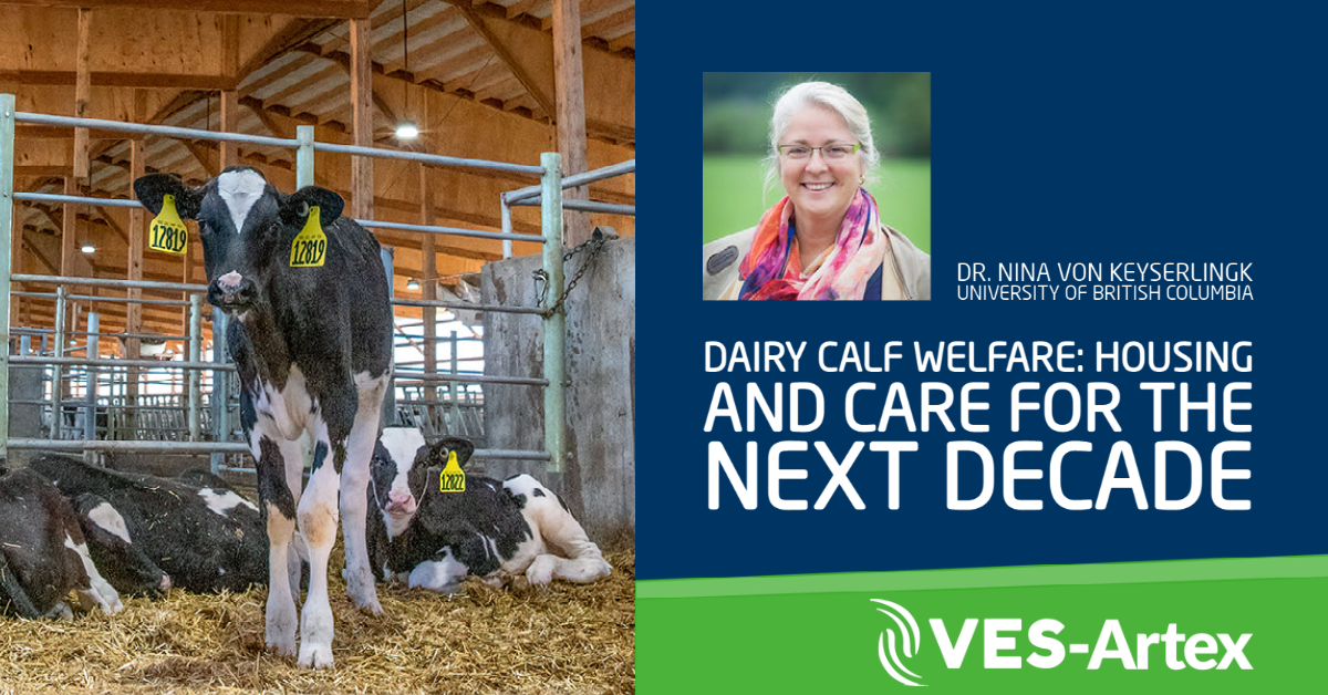 Calf Housing and Care for the Next Decade - VES-Artex