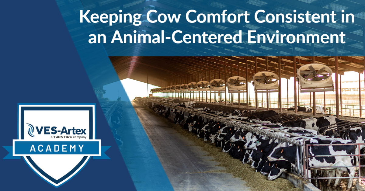 Keeping Cow Comfort Consistent in an Animal-Centered Environment - VES-Artex