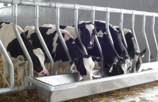 Non-Locking Feed Fronts - VES-Artex