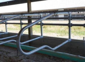 Stall Divider/Loop Freestall - VES-Artex