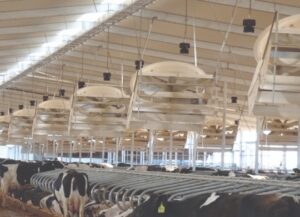 Louvered Circulation Fan (ECV) - VES-Artex