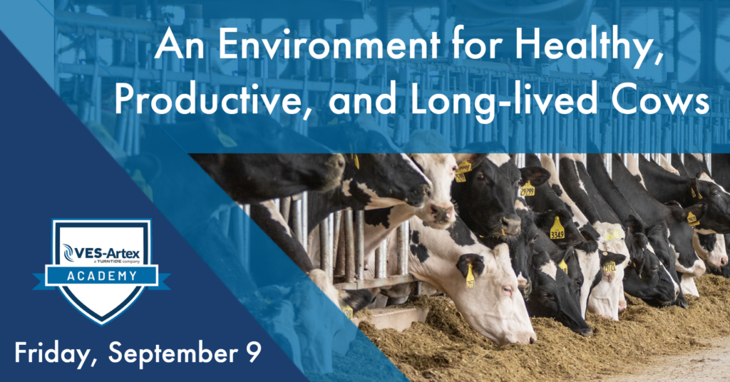 An Environment for Healthy, Productive, and Long-lived Cows - VES-Artex