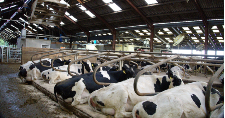 Top Tips for Installing Fans - VES-Artex