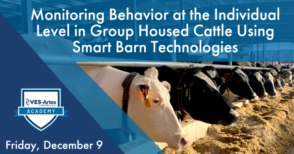 Monitoring Behavior at the Individual Level in Group Housed Cattle Using Smart Barn Technologies ...