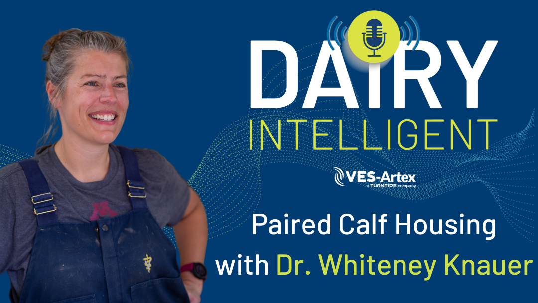 Paired Calf Housing with Dr. Whitney Knauer - VES-Artex