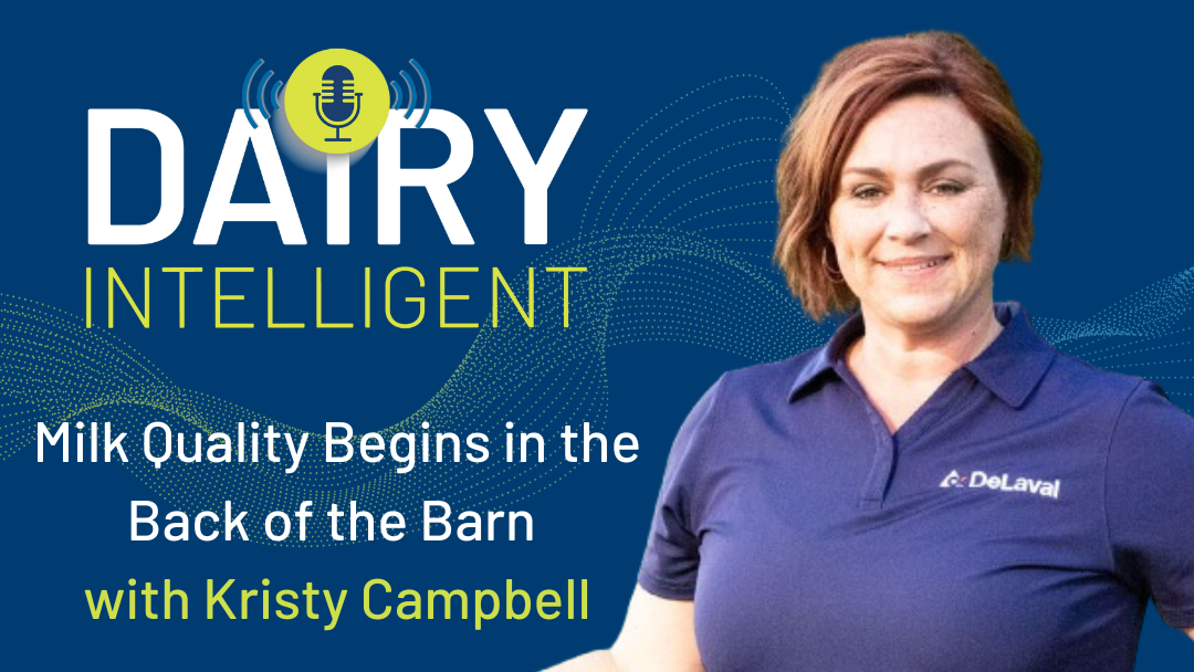Milk Quality Begins in the Back of the Barn with Kristy Campbell - VES ...